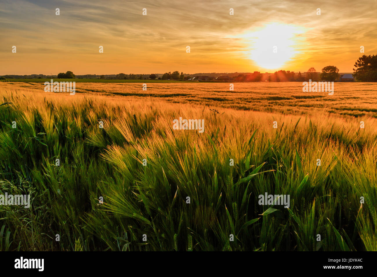 Rays belgium hi-res stock photography and images - Alamy