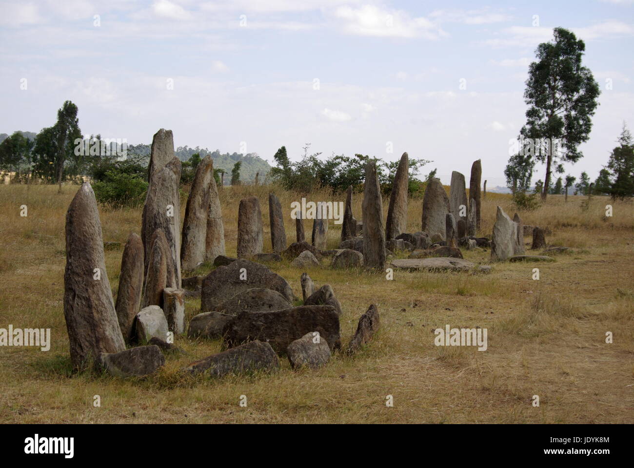 Tiya Megaliths of Ethiopia Stock Photo - Alamy