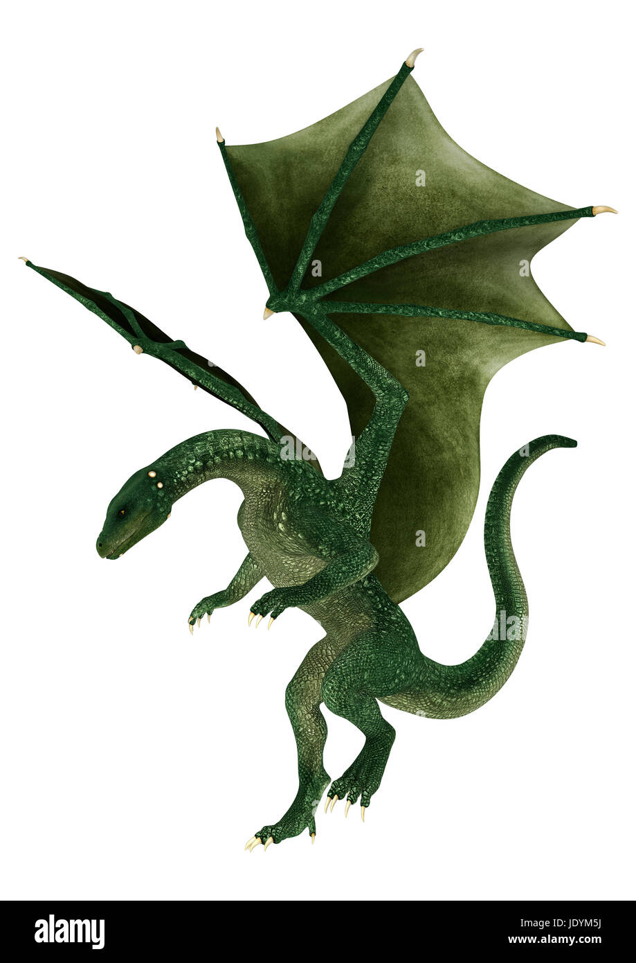 3D digital render of a landing green fantasy dragon isolated on white ...