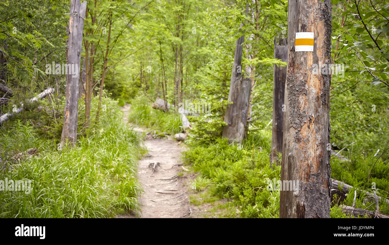 Field path and tree hi-res stock photography and images - Alamy
