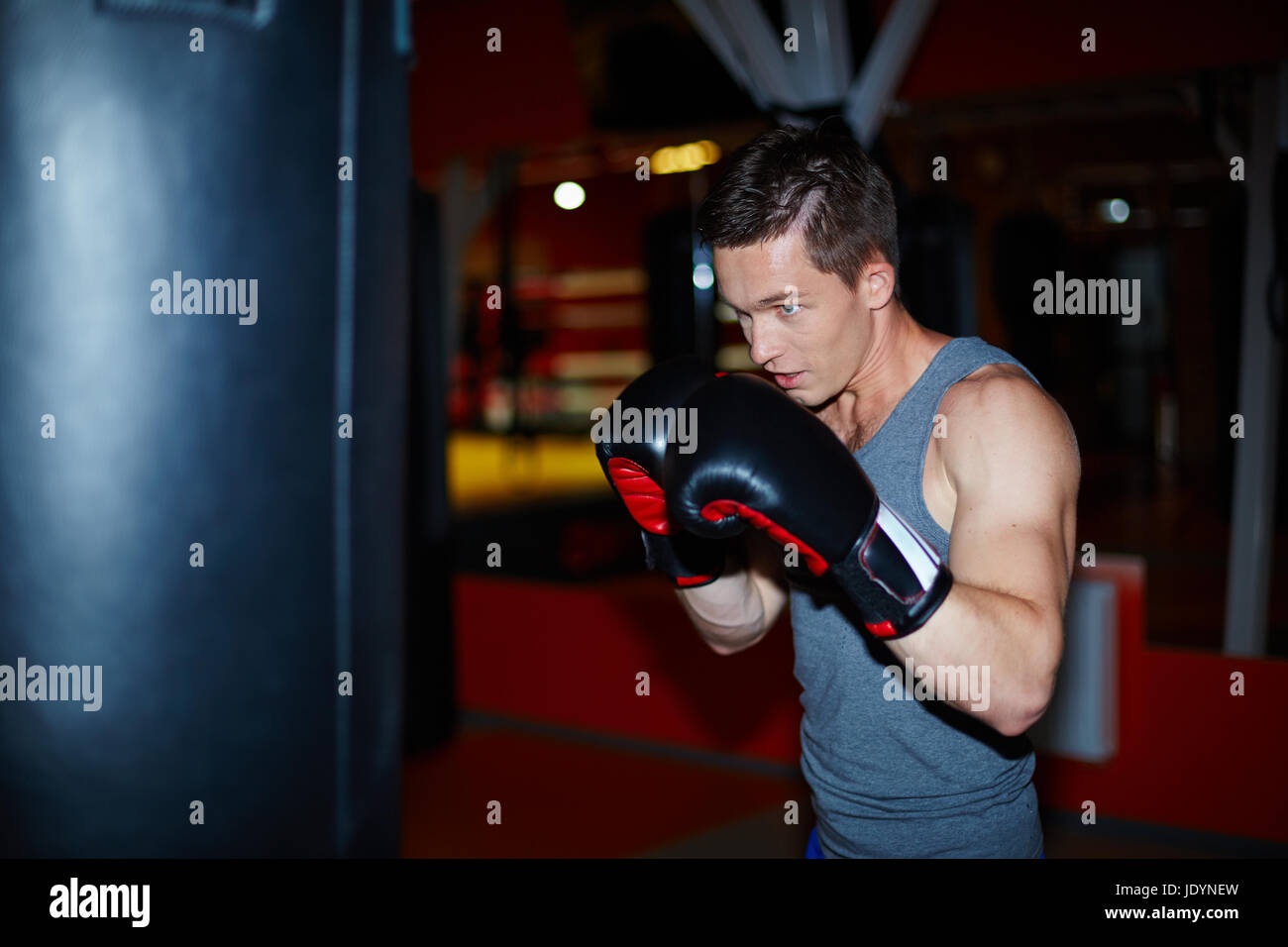 Male boxer in boxing gloves training in sports gym Stock Photo - Alamy