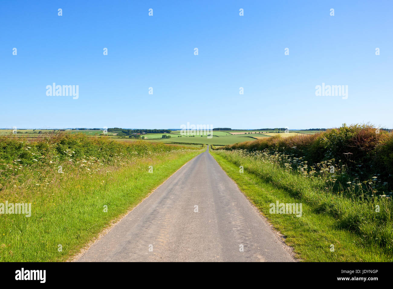 a straight country road with hawthorn hedgerows and wildflowers with a ...
