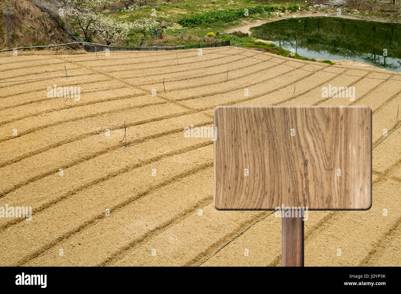 Blank wooden sign on field of farm. Concept of rural, idyllic ...
