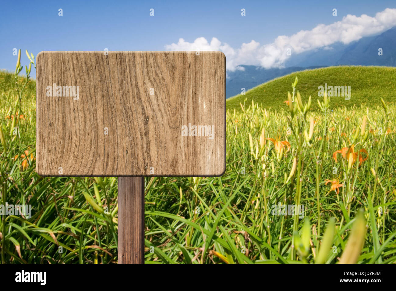 Blank wooden sign on field of farm. Concept of rural, idyllic ...