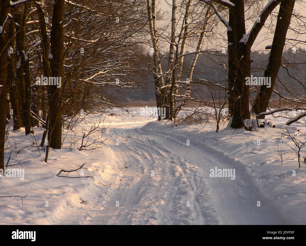 Beautiful white winter. Frosty road Stock Photo - Alamy