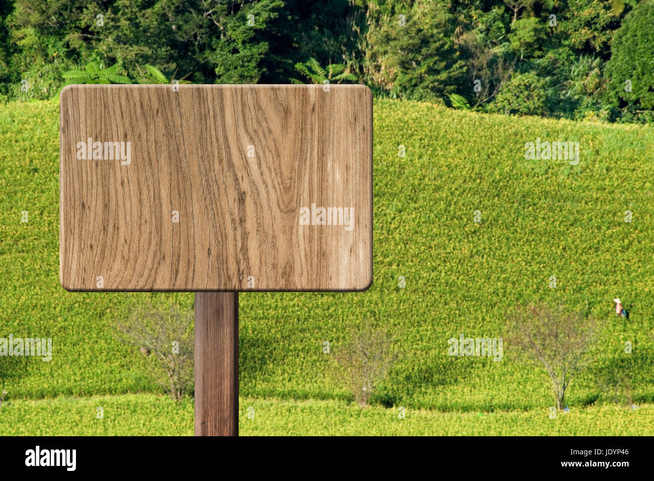 Blank wooden sign on field of farm. Concept of rural, idyllic ...