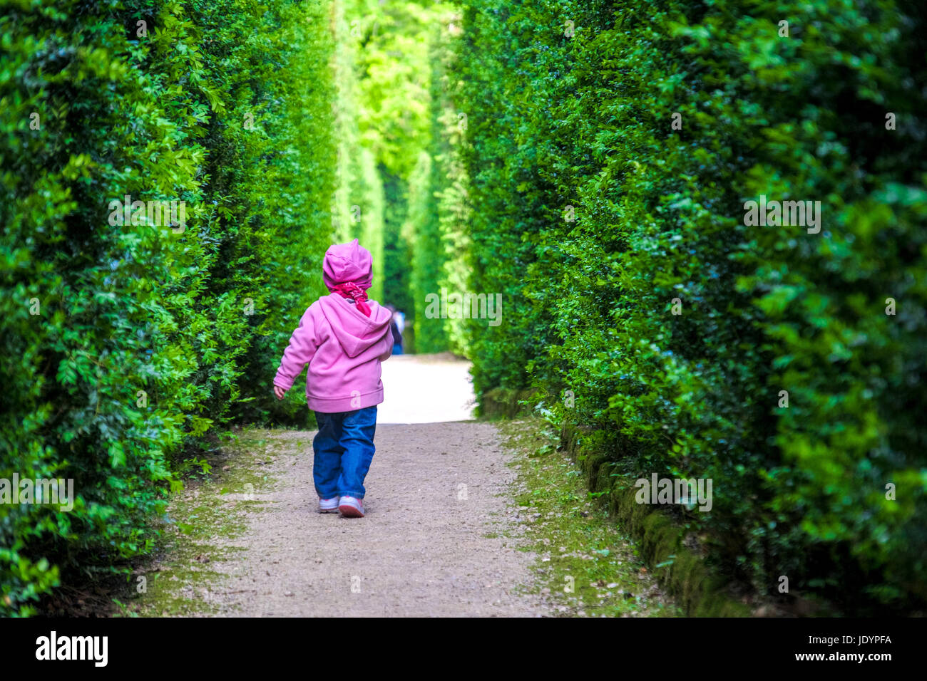 baby girl left alone newborn walking child alone among the hedges Stock ...