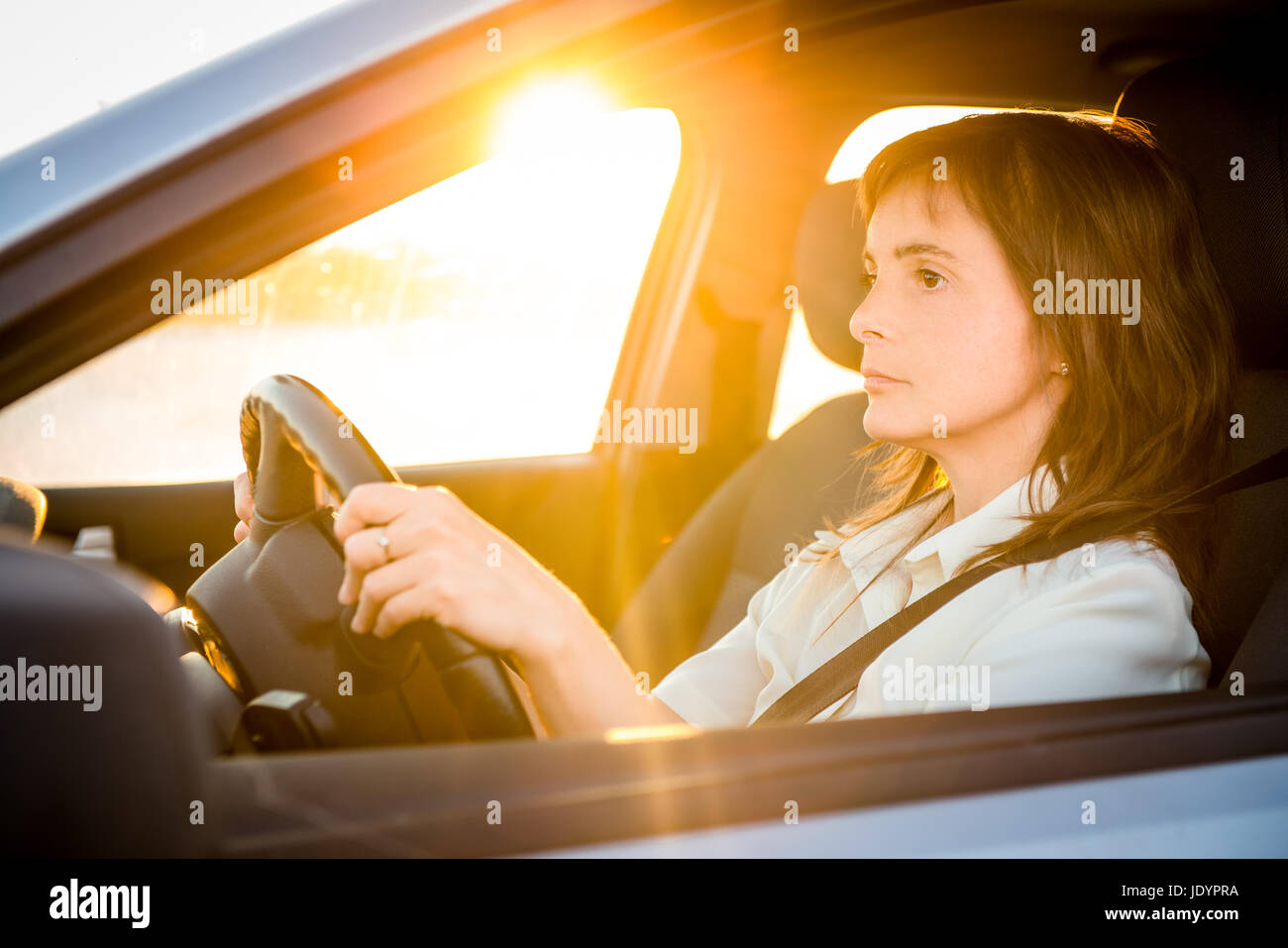 Young business woman driving car at sunset Stock Photo - Alamy