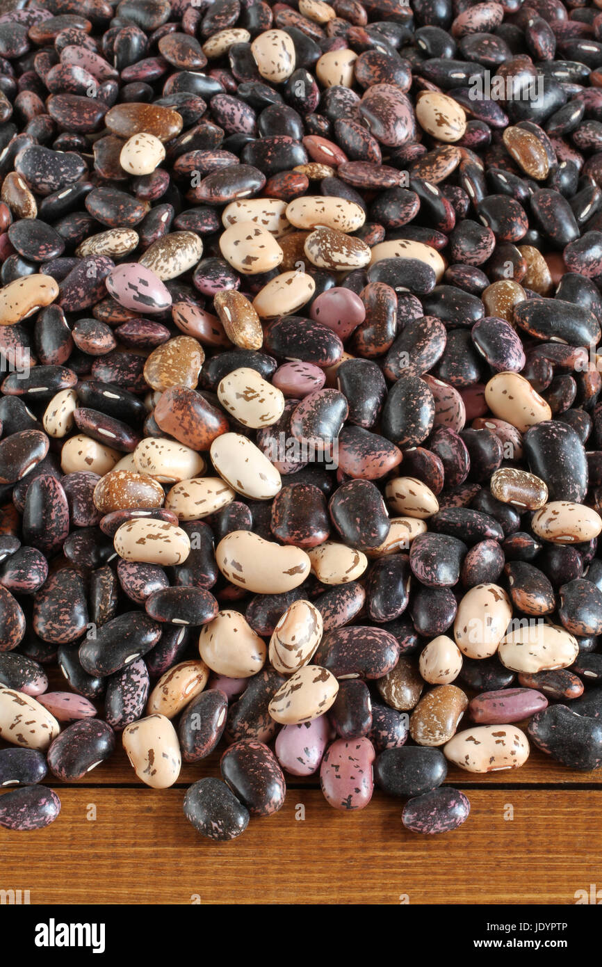 Raw purple, pink, beige with brown speckled kidney beans on brown ...