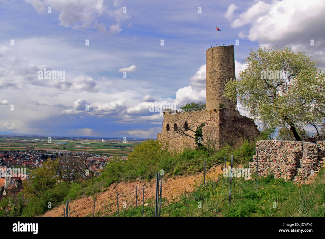 the strahlenburg about schriesheim Stock Photo - Alamy