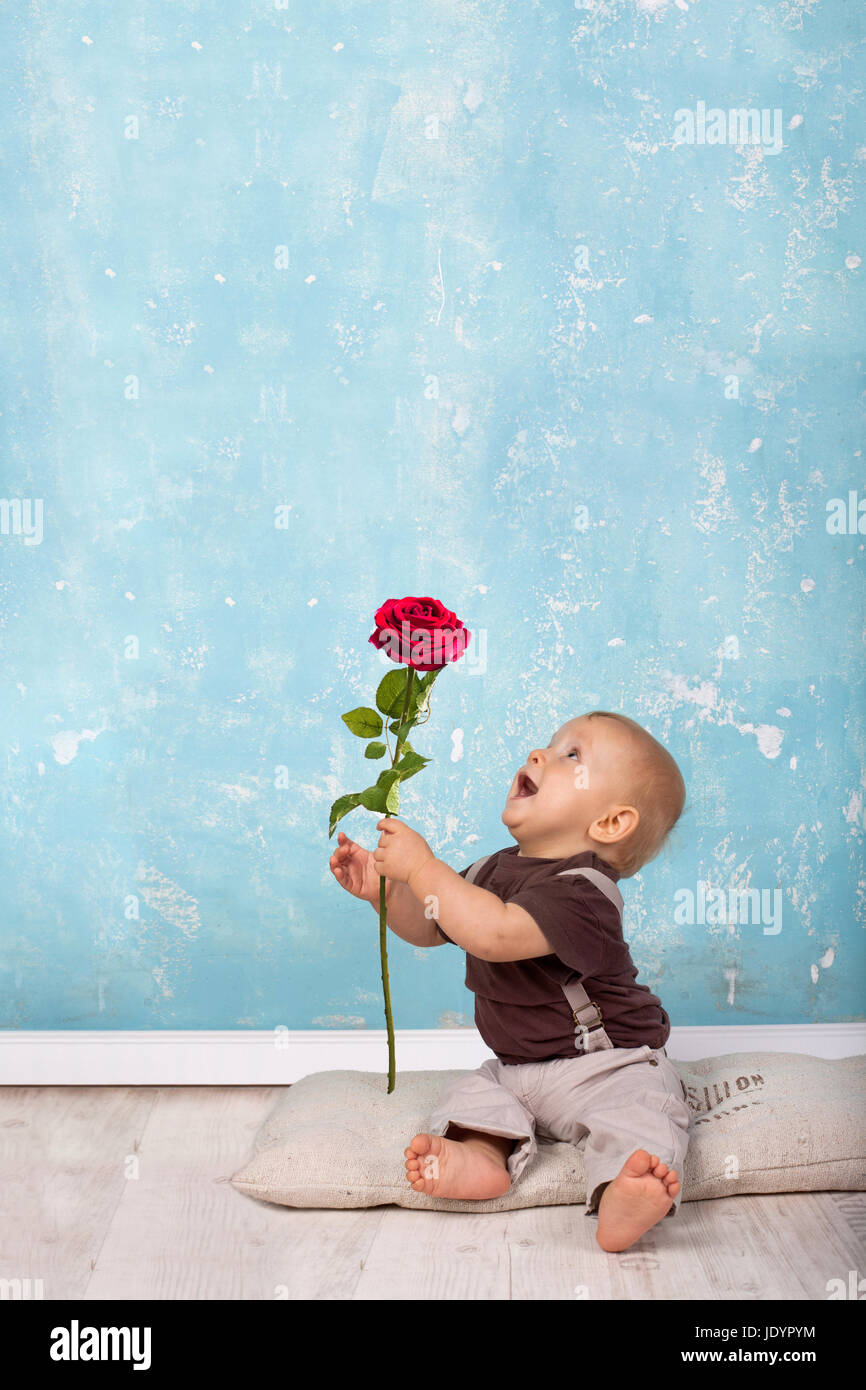 to give a rose Stock Photo - Alamy