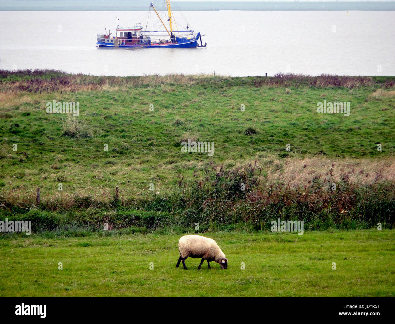 trawler on the ems Stock Photo - Alamy