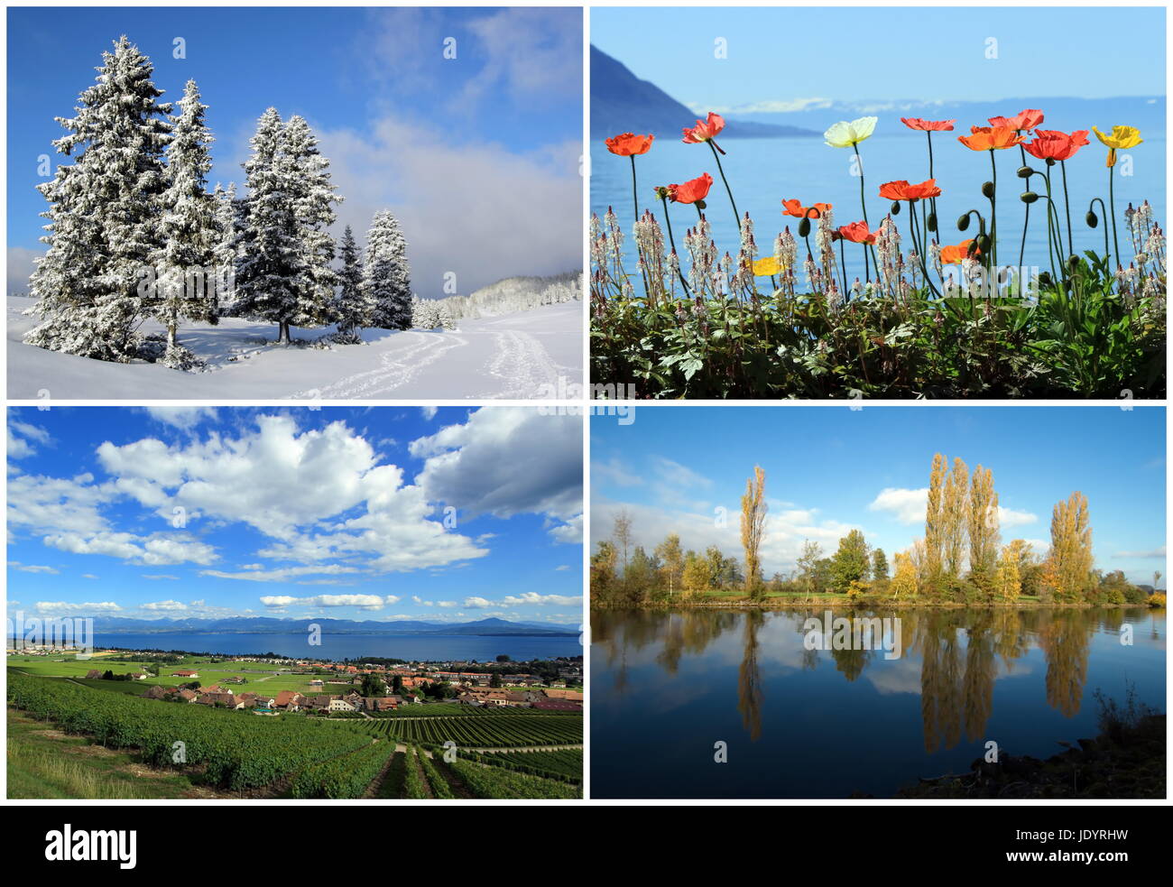 Set of four landscapes for each season Stock Photo - Alamy