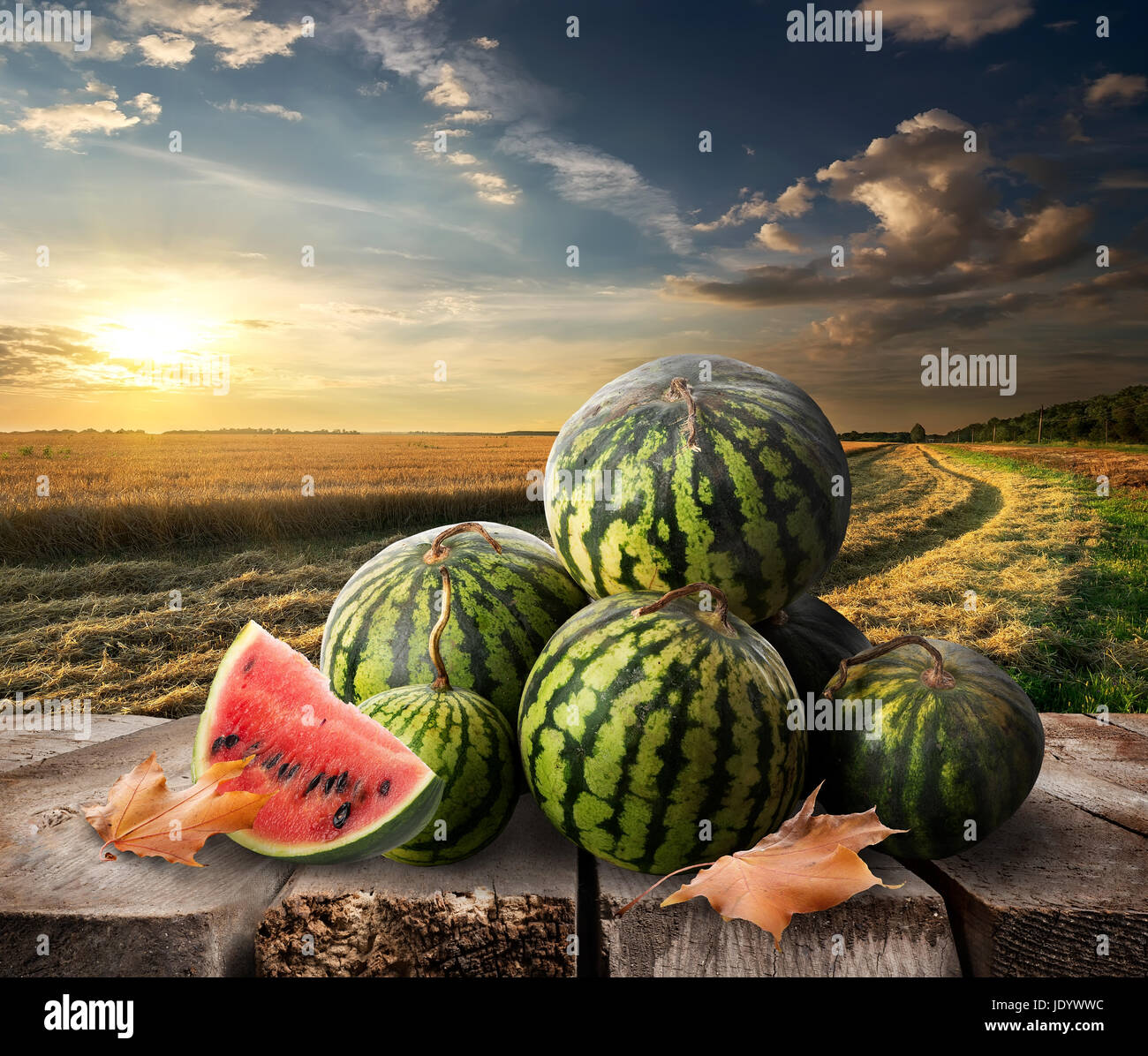 Watermelons on a table and evening landscape Stock Photo - Alamy