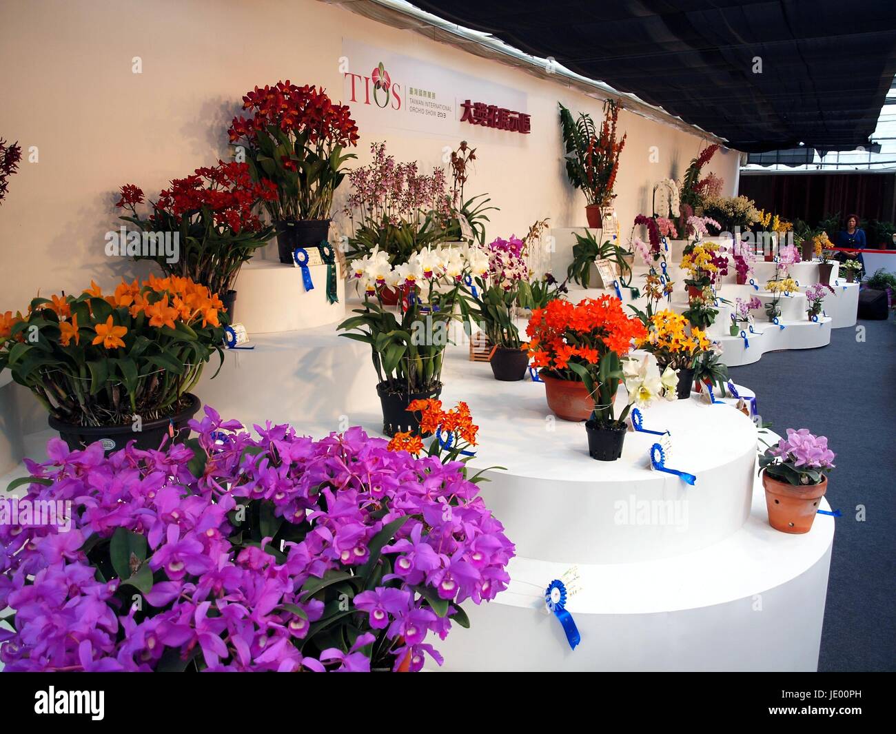 TAINAN, TAIWAN - MARCH 14: Award winning flower exhibits are on display ...