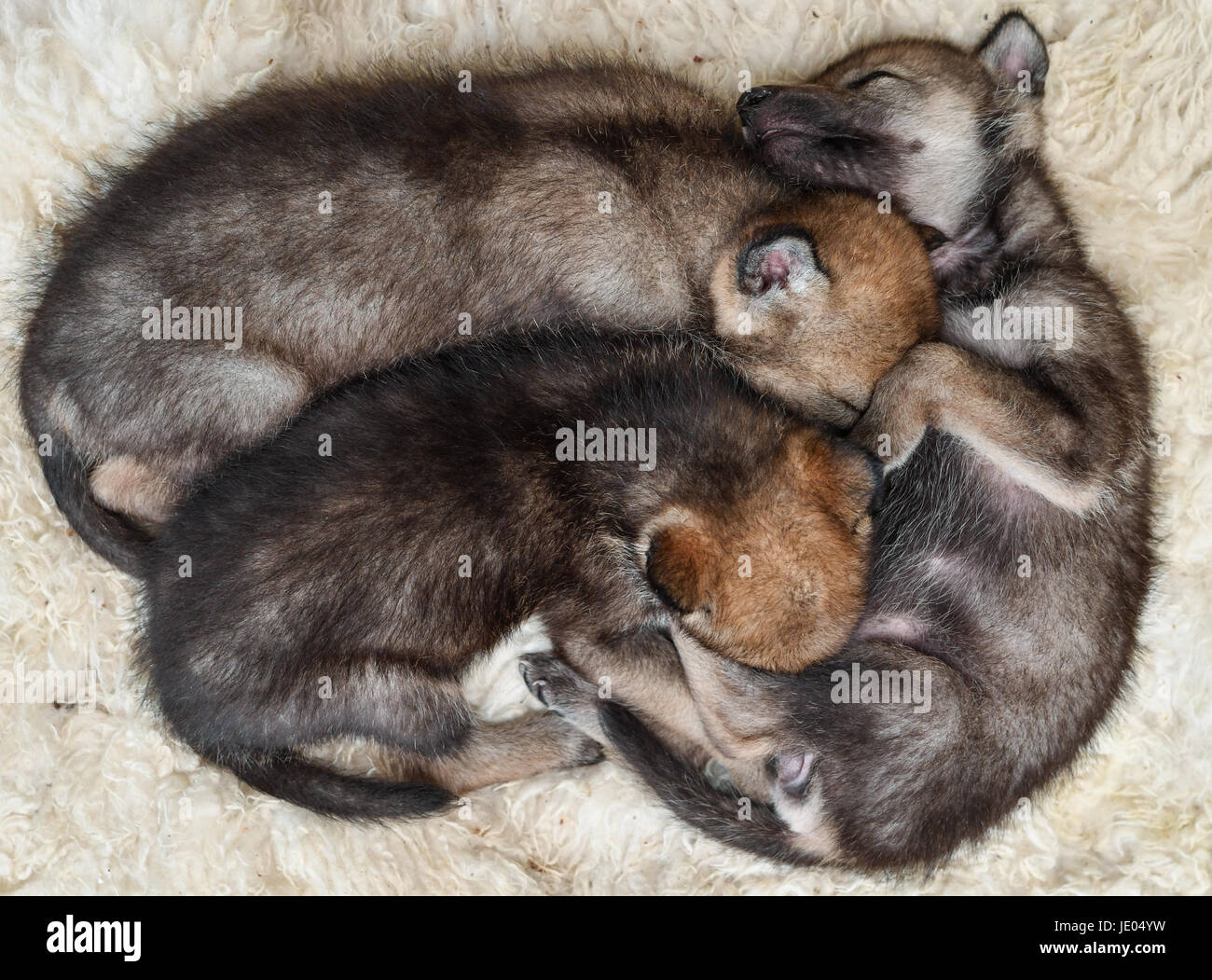 Two weeks bedroom hi-res stock photography and images - Alamy
