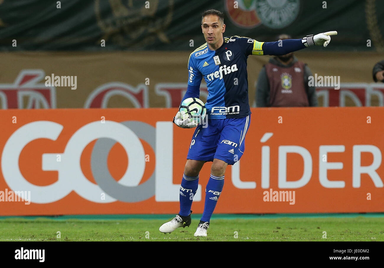 SÃO PAULO, SP - 21.06.2017: PALMEIRAS X ATLÉTICO GO - Goalkeeper ...