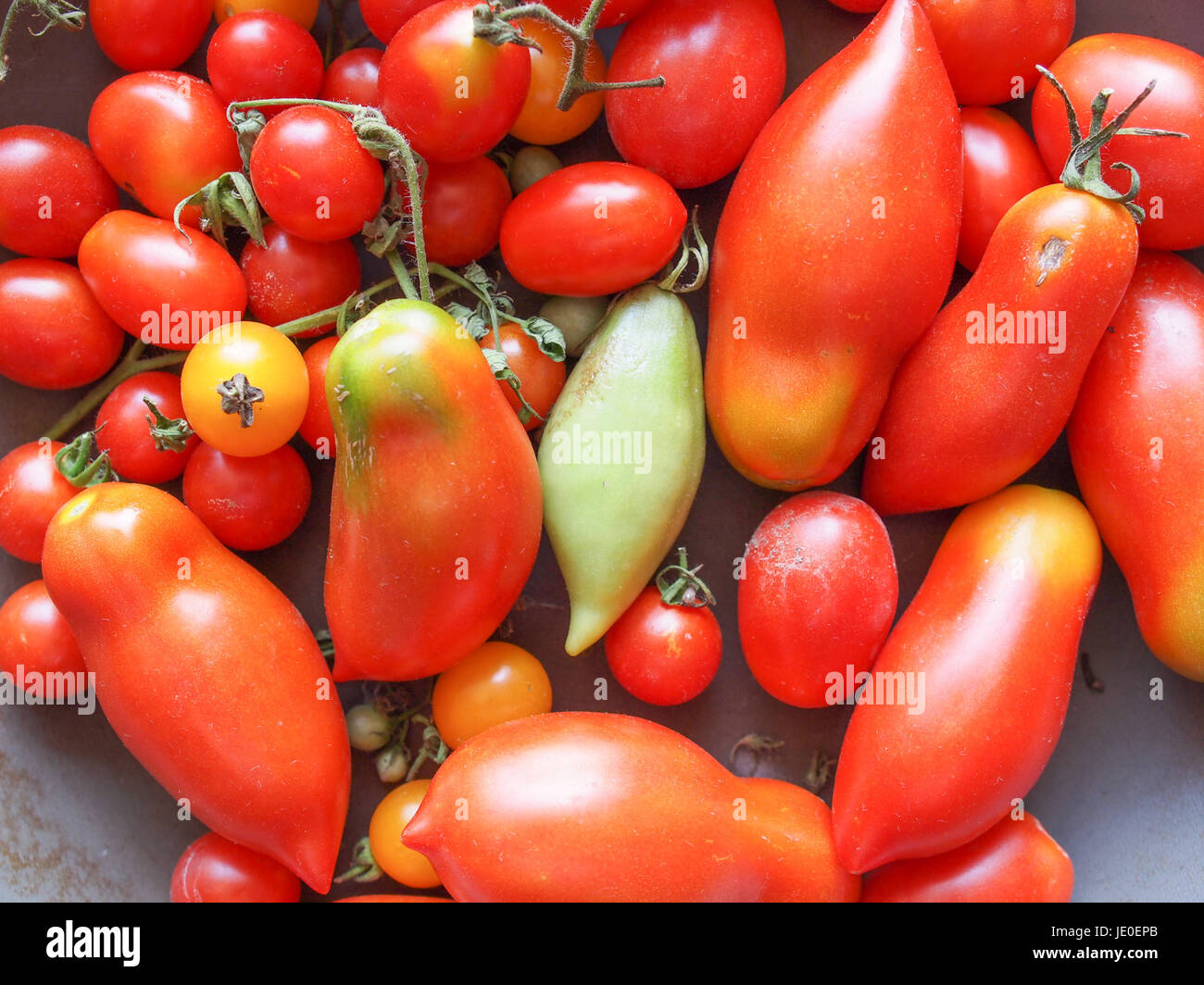 Red Italian tomato vegetables healthy vegetarian food Stock Photo - Alamy