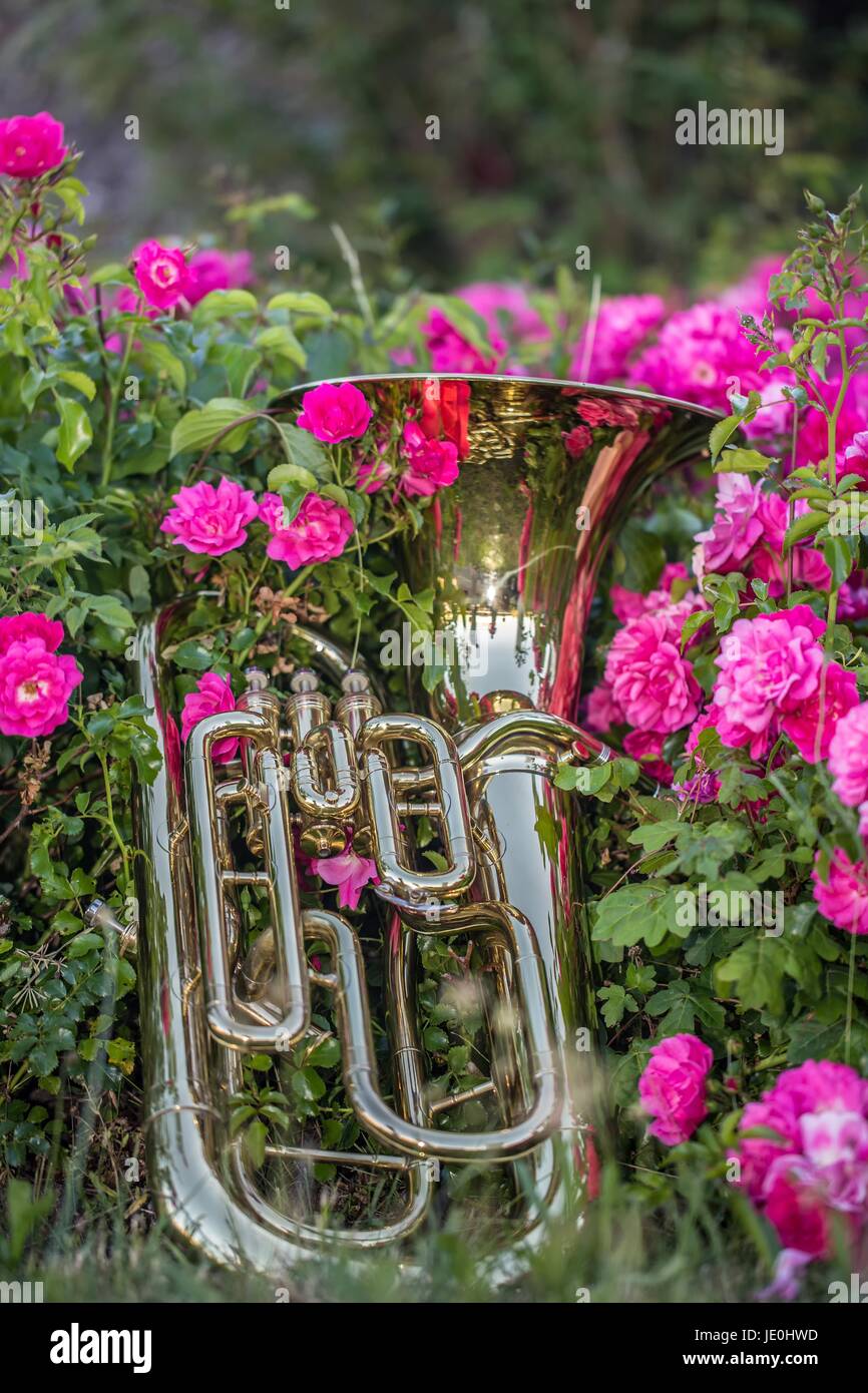 Gig in the garden hi-res stock photography and images - Alamy
