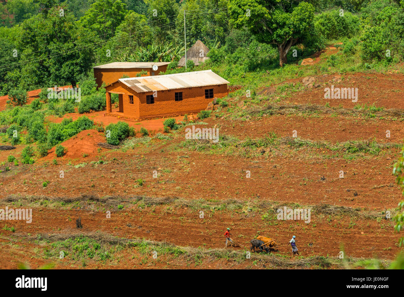 A rural scene near Zimbabwe's Chimanimani Stock Photo - Alamy