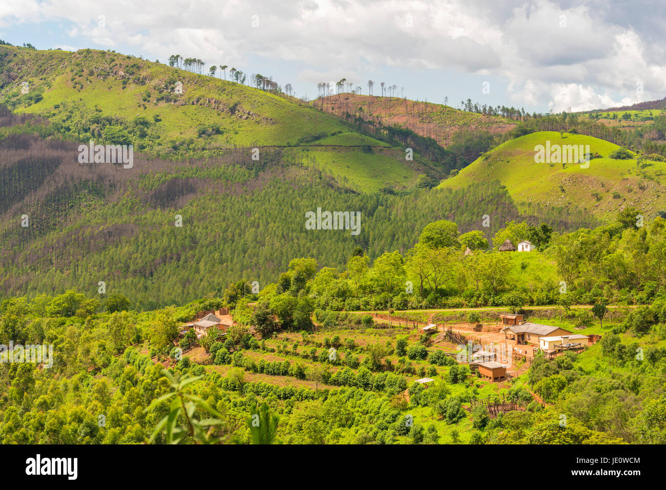 Eastern highlands agriculture zimbabwe hi-res stock photography and ...