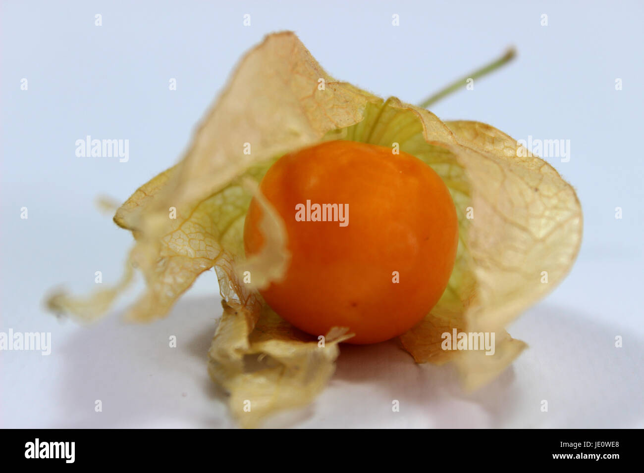Group of physalis on a white wood background Stock Photo - Alamy