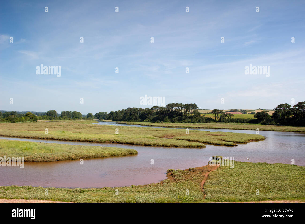 River Otter estuary at Budleigh Salterton, Devon with mudflats Stock ...