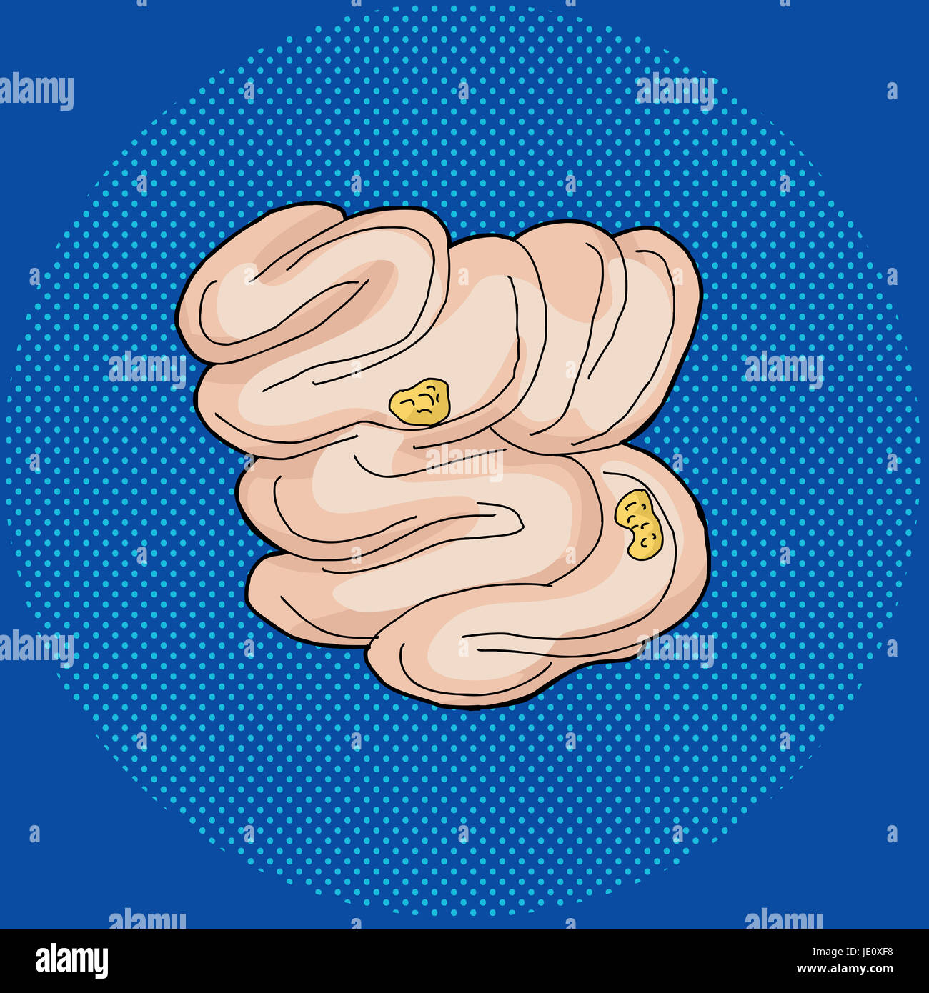 Hand drawn human small intestine with food inside Stock Photo - Alamy