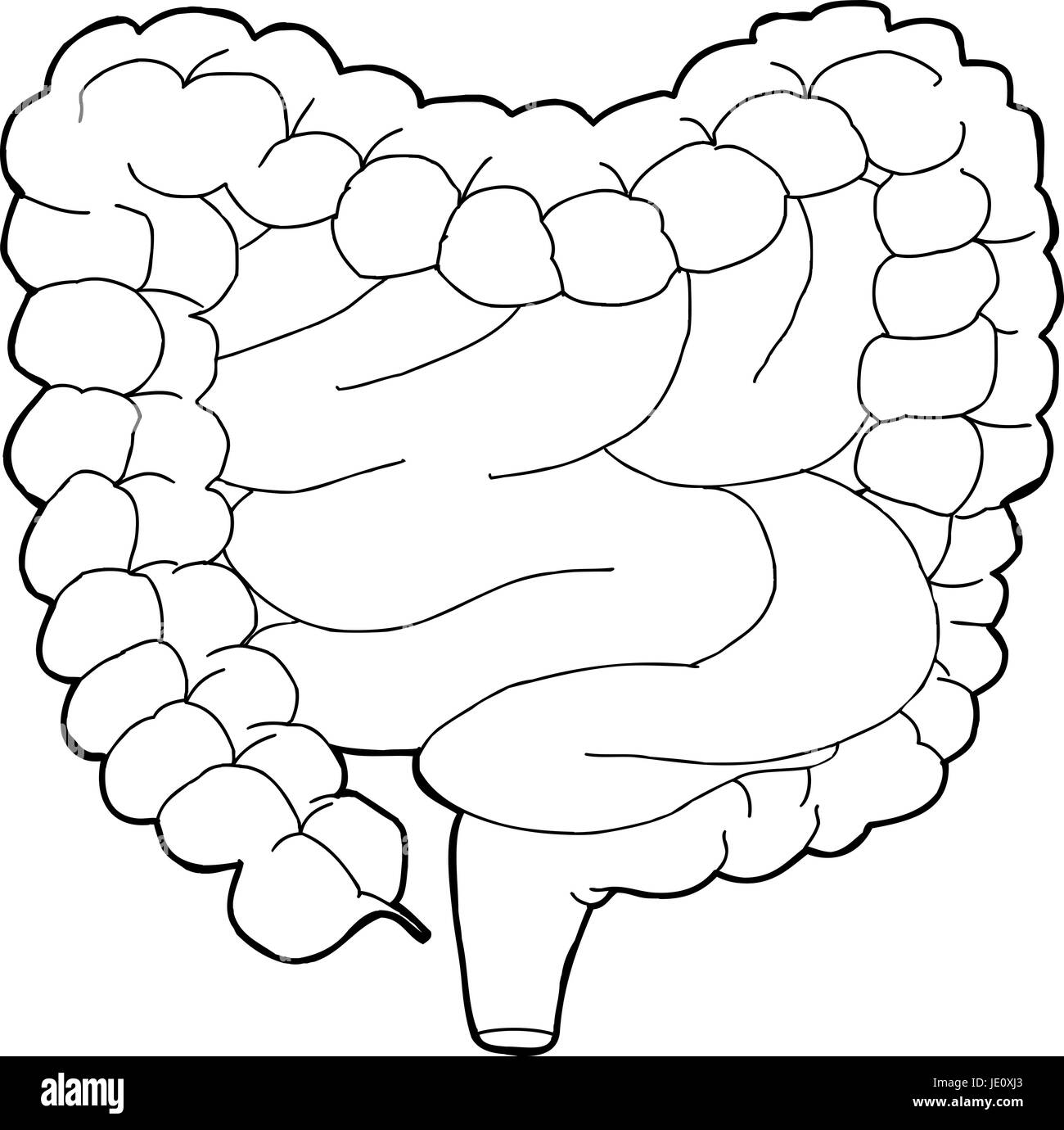 Digestive System Cartoon High Resolution Stock Photography and Images ...