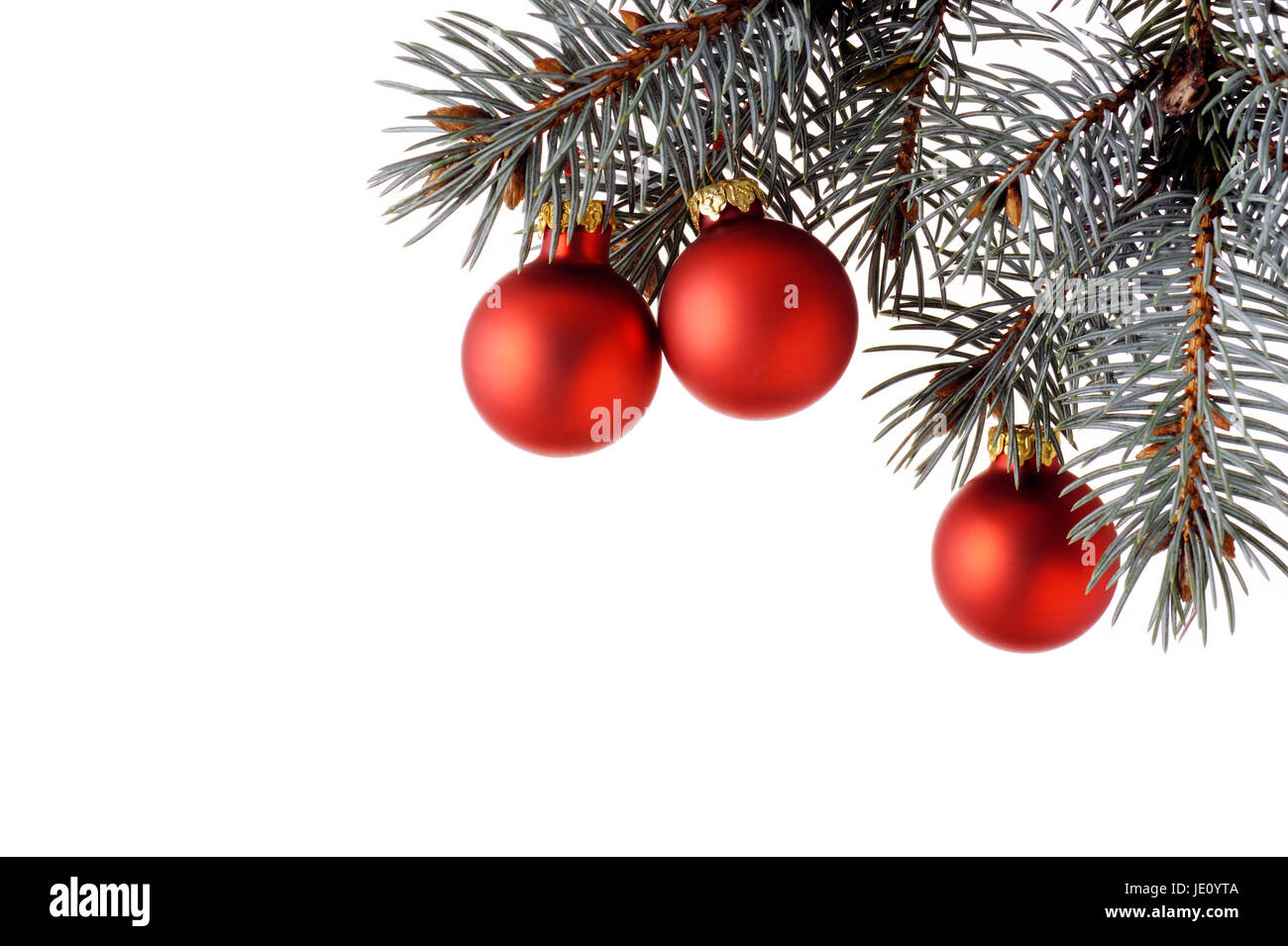 red christmas balls on pine branch, isolated on white Stock Photo - Alamy