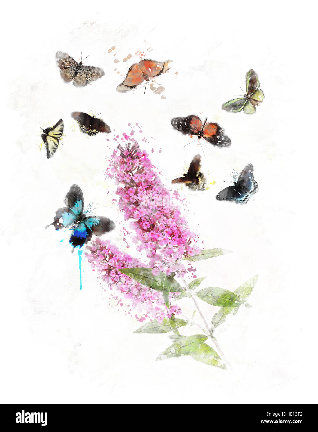 Watercolor Digital Painting Of Buddleja (Butterfly Bush) With ...