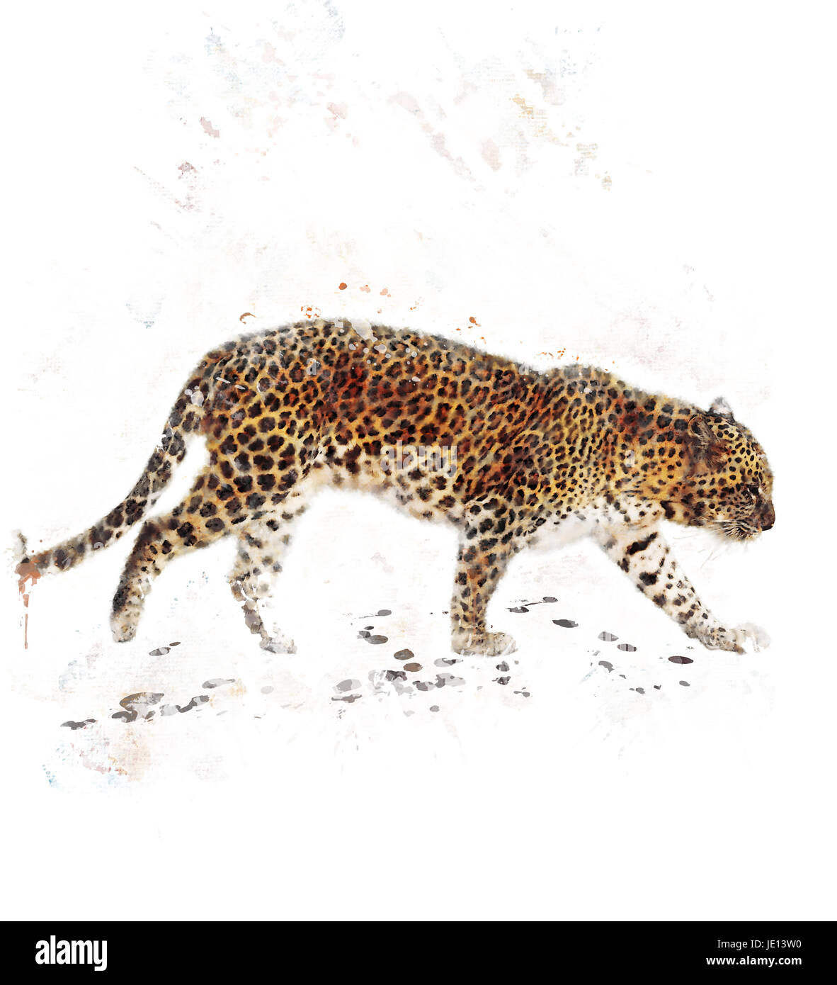 Watercolor Digital Painting Of Walking Leopard Stock Photo - Alamy
