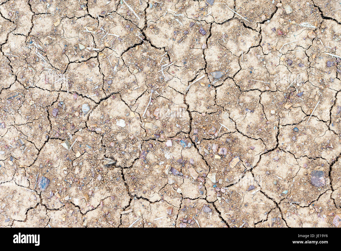 Drought parched soil of famine hi-res stock photography and images - Alamy