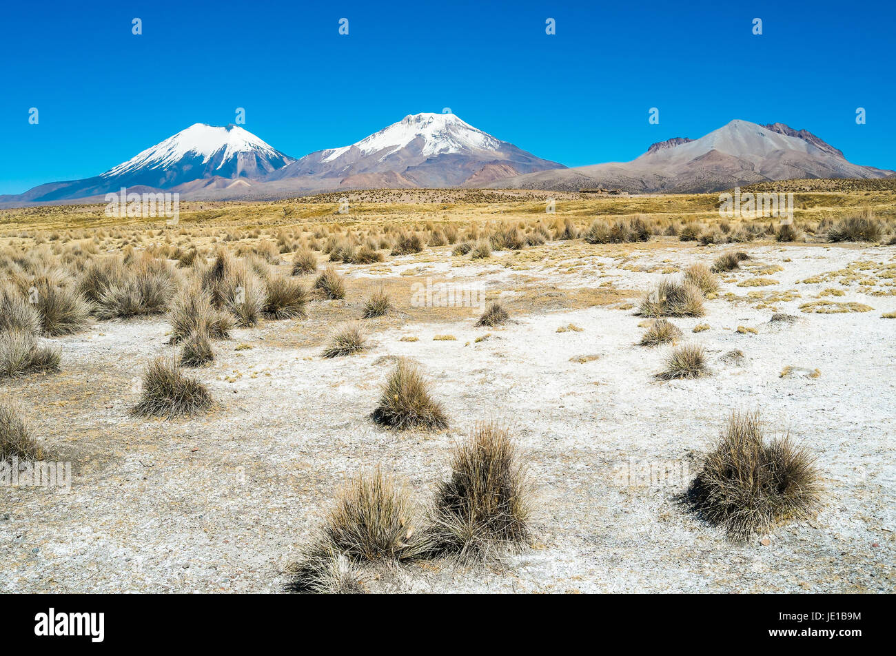Twin volcanos Parinacota and Pomerape in Sajama National Park, Bolivia ...