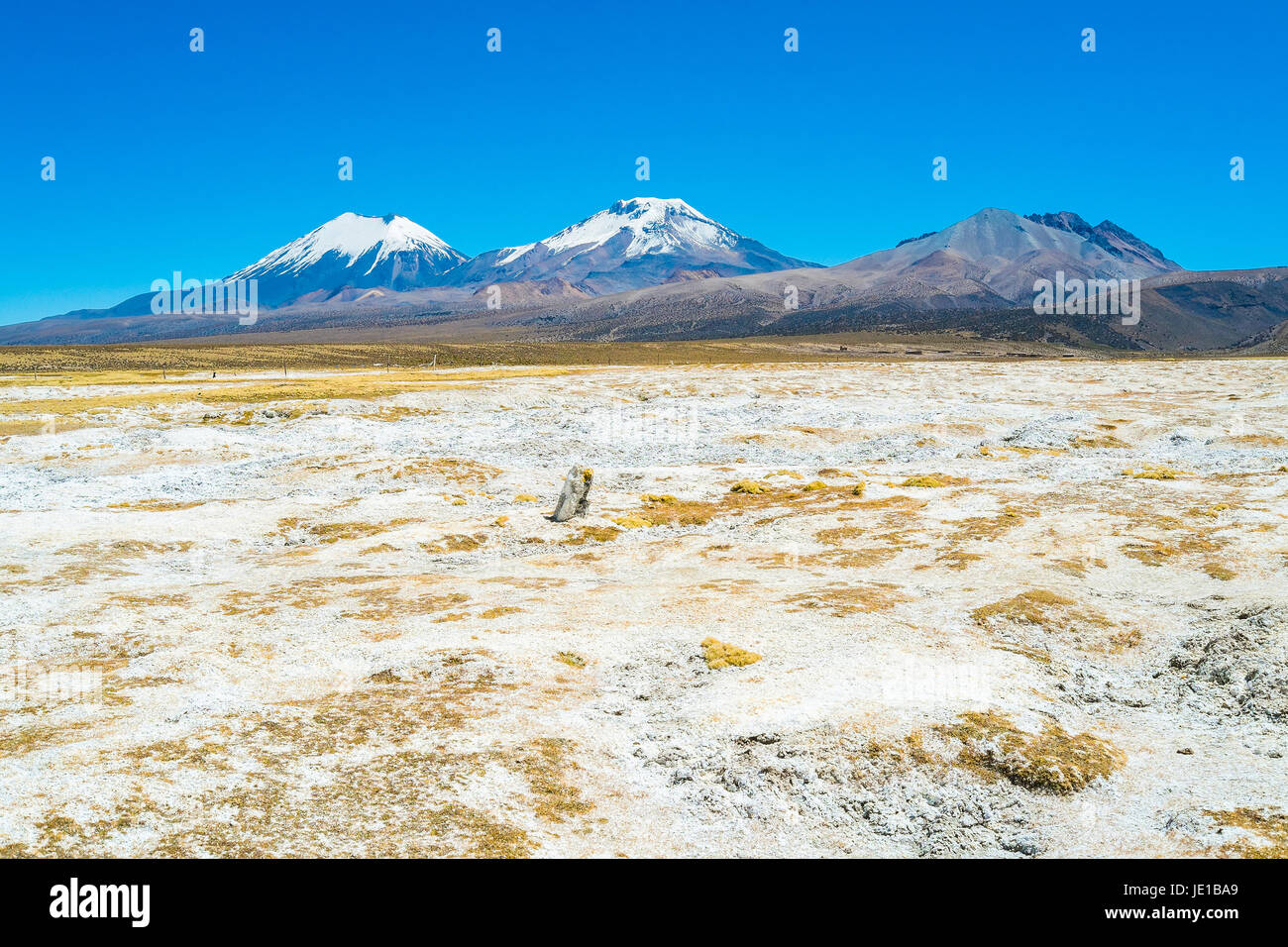 Twin volcanos Parinacota and Pomerape in Sajama National Park, Bolivia ...