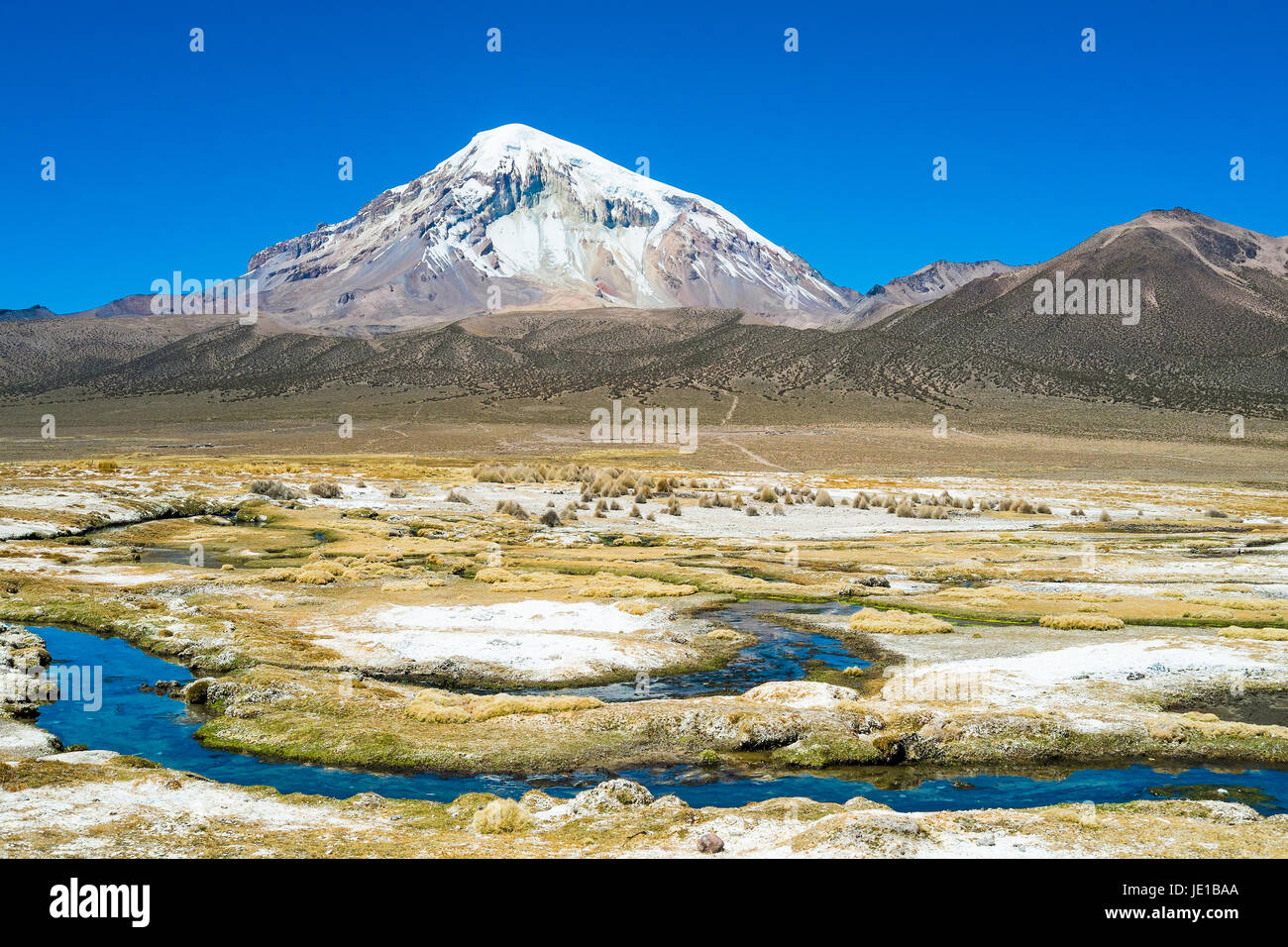 Landscape with Sajama Volcano in Sajama National Park, Bolivia Stock ...