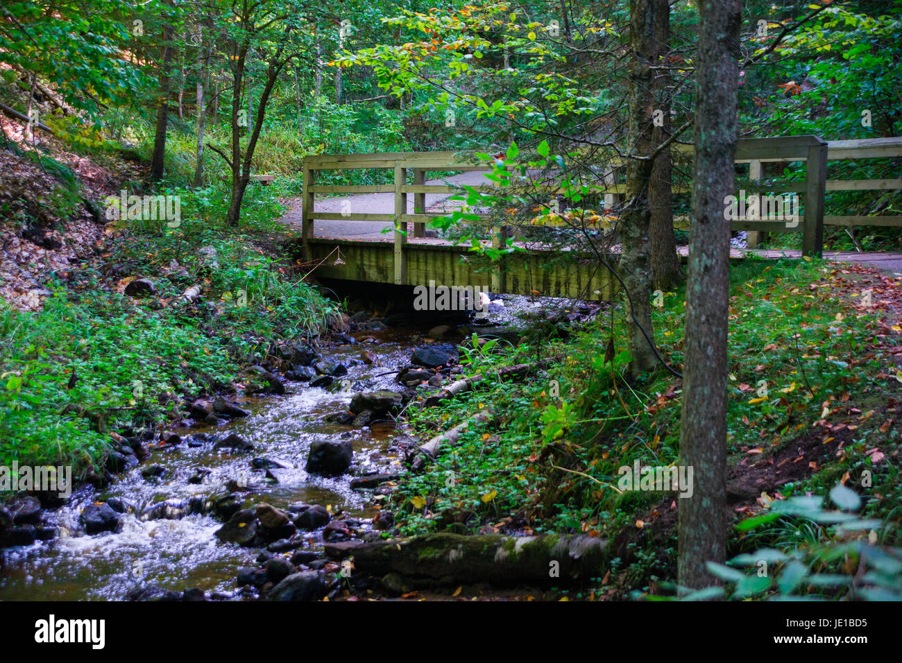Meandering walkway hi-res stock photography and images - Alamy