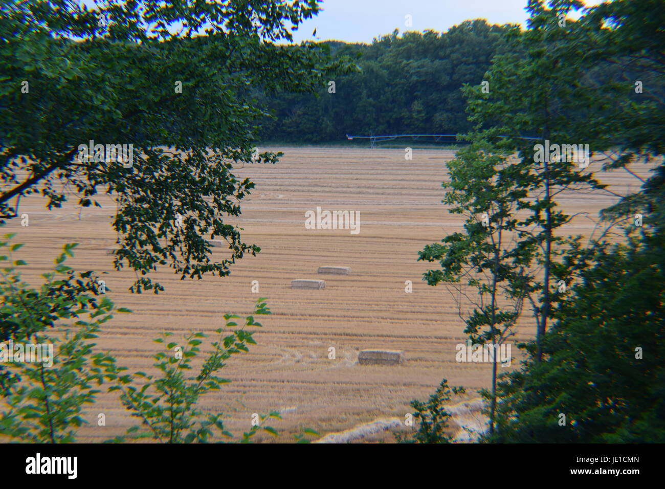 Farmer and hay bales hi-res stock photography and images - Alamy