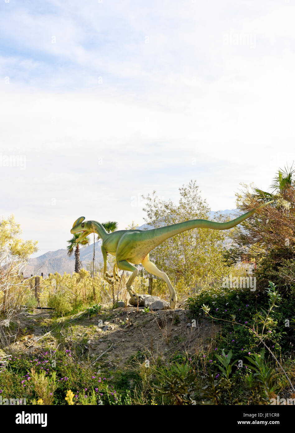Large Dinosaurs on display at the Cabazon Dinosaur Museum in Cabazon ...