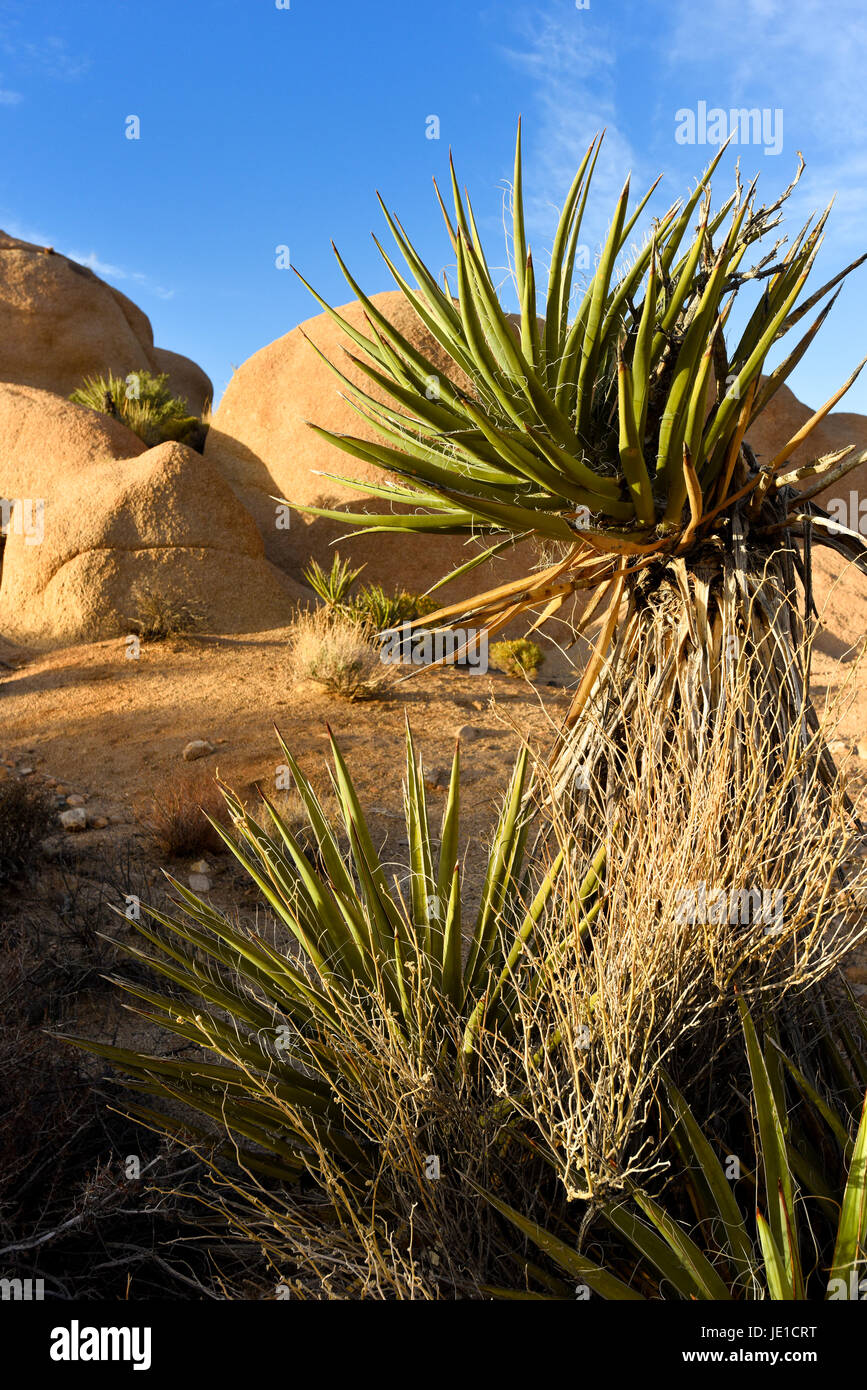Southwest landscape hi-res stock photography and images - Alamy