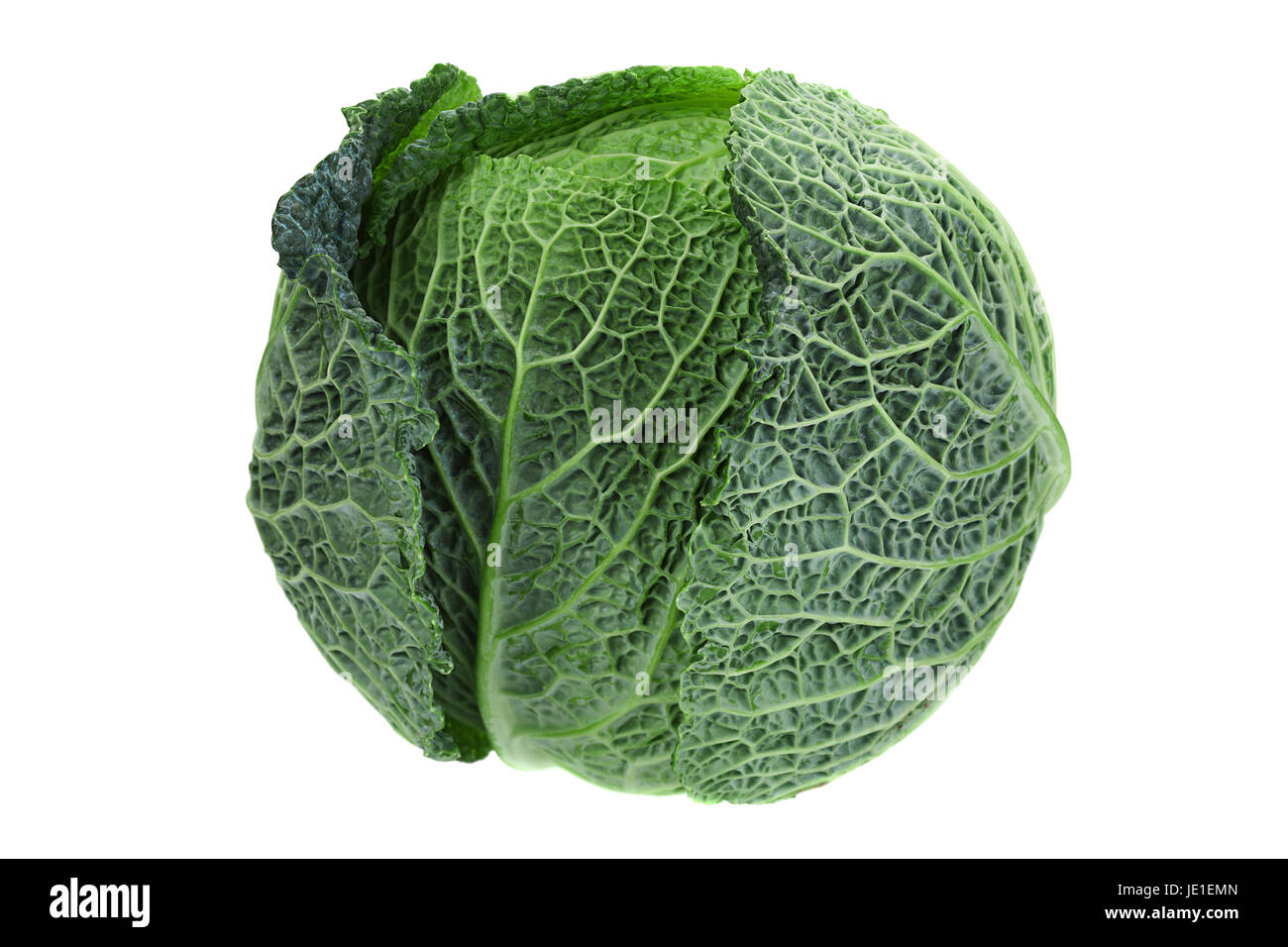 Savoy cabbage vegetable isolated on white background Stock Photo - Alamy