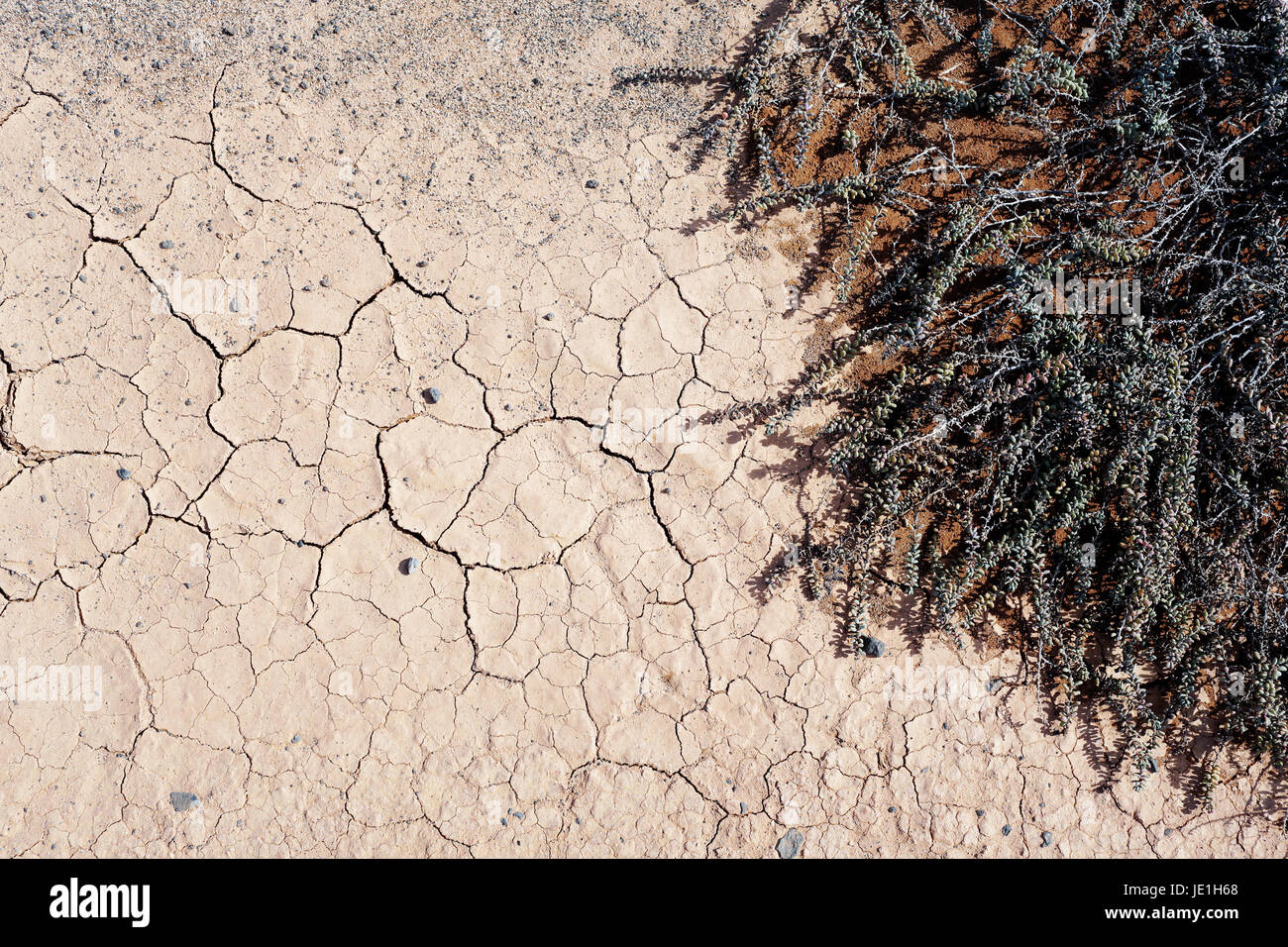 Dry cracked ground Stock Photo - Alamy