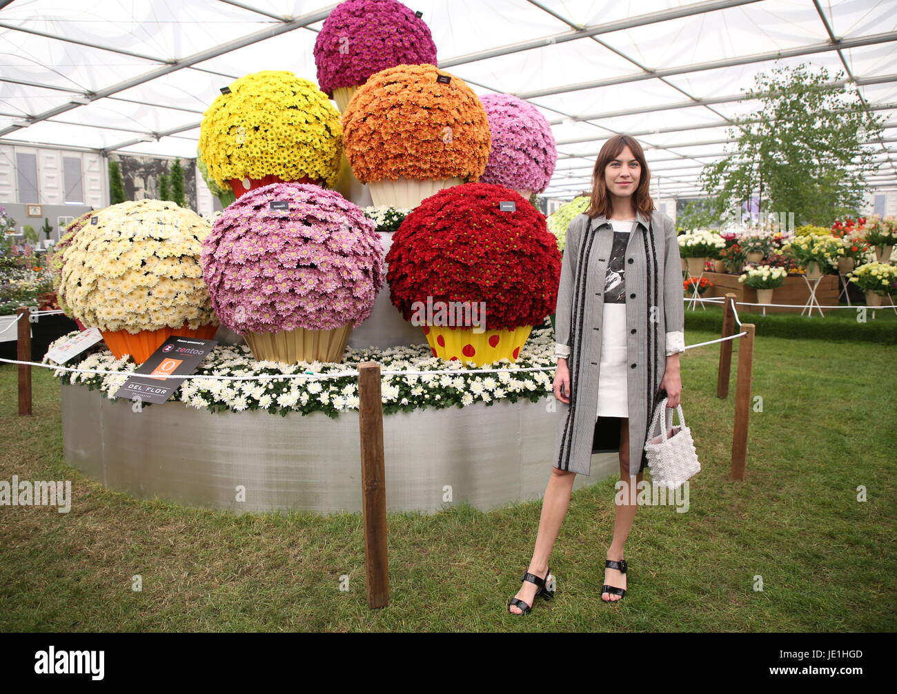 RHS Chelsea Flower Show 2017 - Press Day Featuring: Alexa Chung Where ...