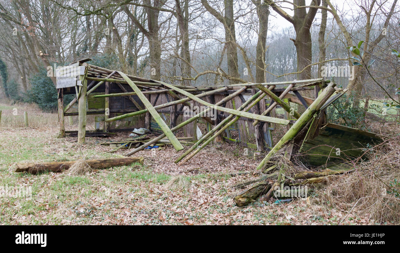 Collapsed, old hut in the forest, the Netherlands Stock Photo - Alamy