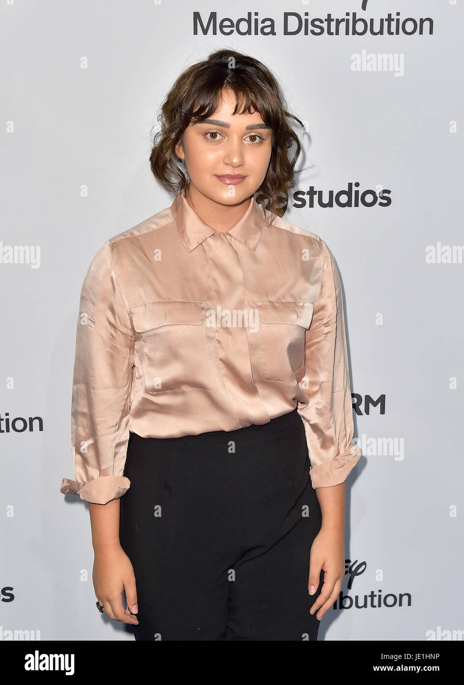 2017 ABC/Disney Media Distribution International Upfront Featuring ...