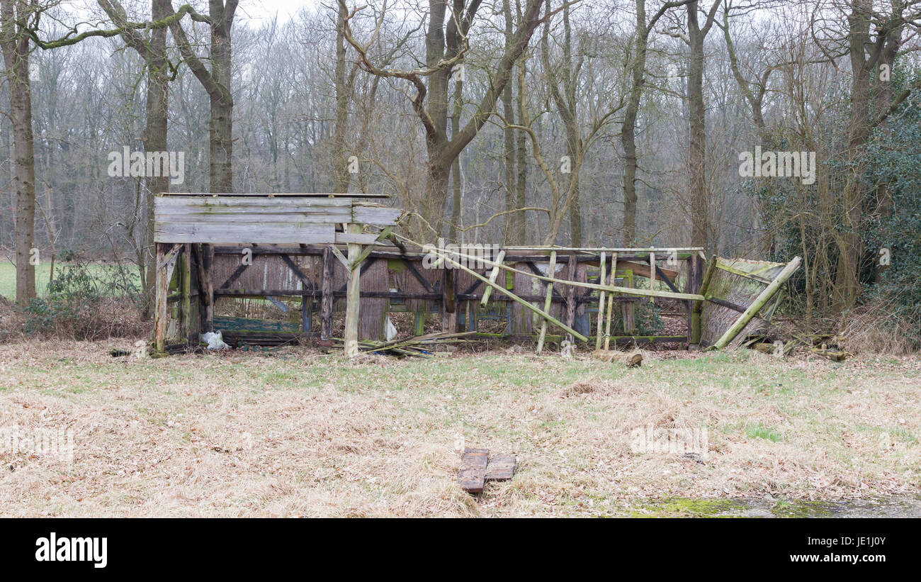 Collapsed, old hut in the forest, the Netherlands Stock Photo - Alamy