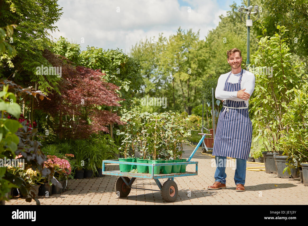 Male gardener looking camera hi-res stock photography and images - Alamy
