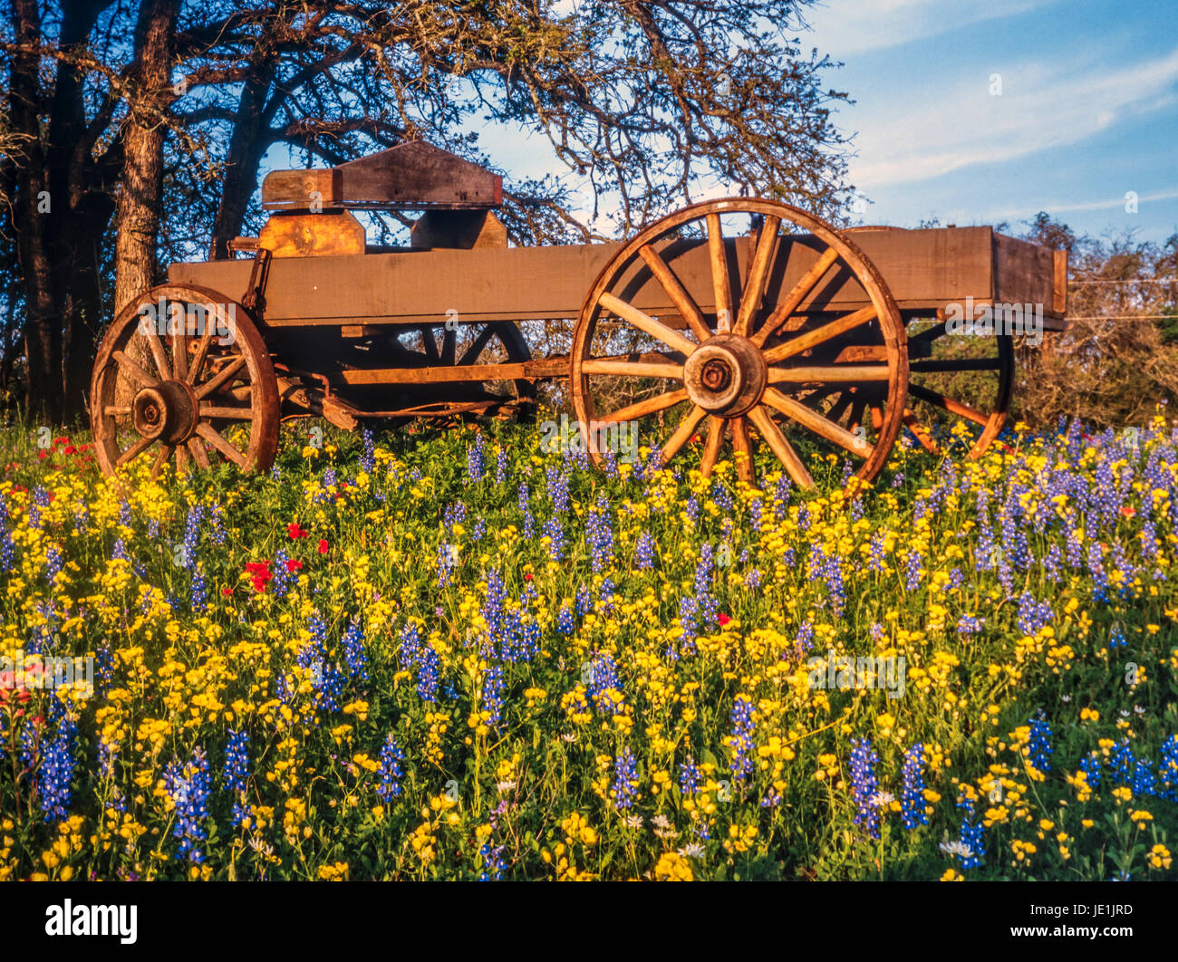 Texas Hill Country is a 25-county region of Central Texas and South ...