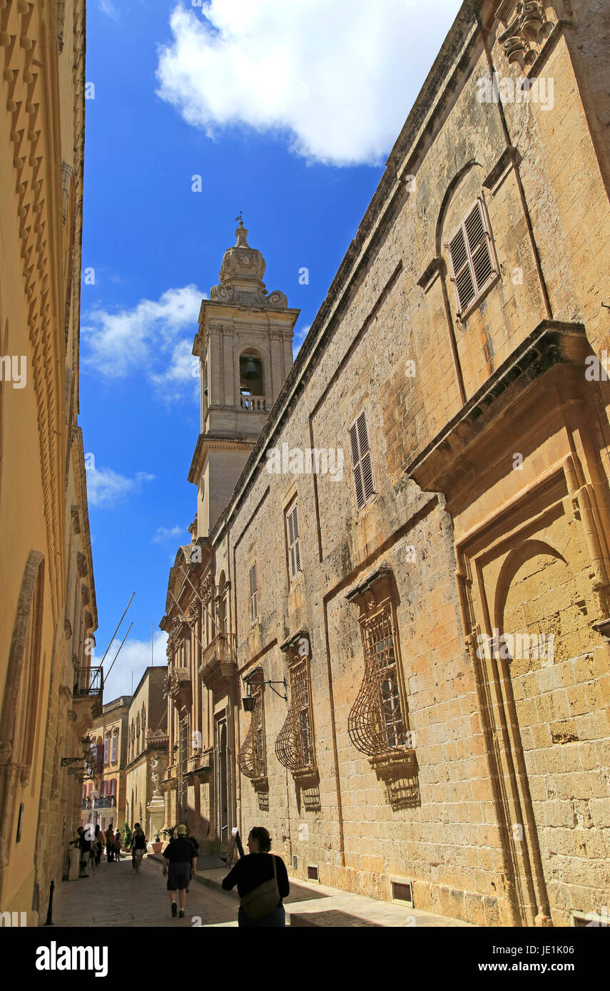Historic buildings and Carmelite church and priory inside the medieval ...