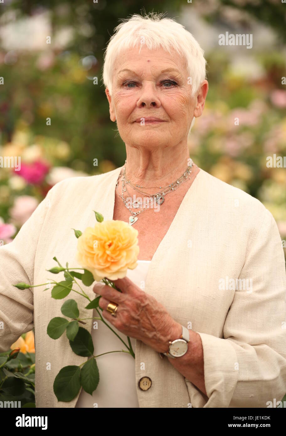 RHS Chelsea Flower Show 2017 - Press Day Featuring: Dame Judy Dench ...